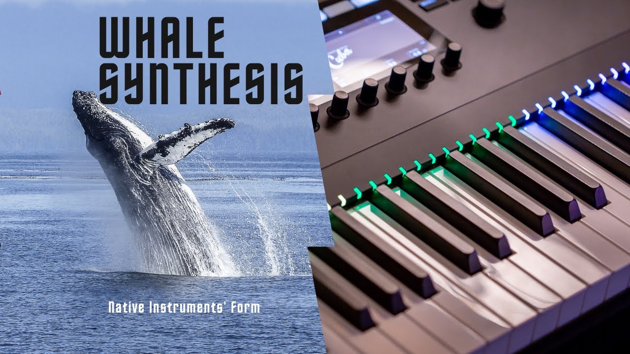 Turning Whale Songs into Synth Bass | Native Instruments FORM - YouTube