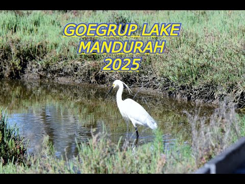 GOEGRUP LAKE MANDURAH  2025