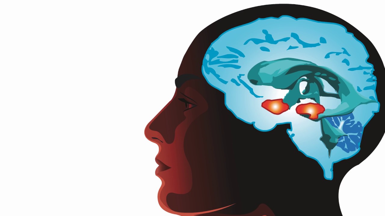 Bioreactions - YouTube