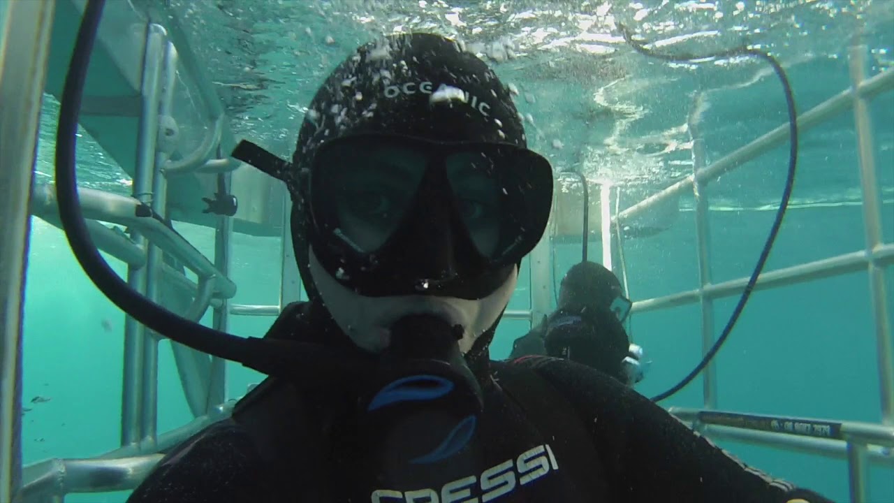Diving - YouTube