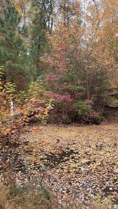 What a beautiful Fall day - YouTube