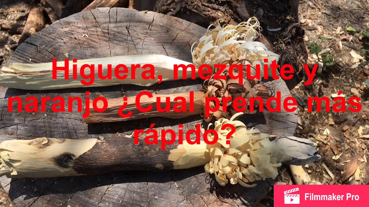 ¿Cual de los tres es mejor yesca? - YouTube