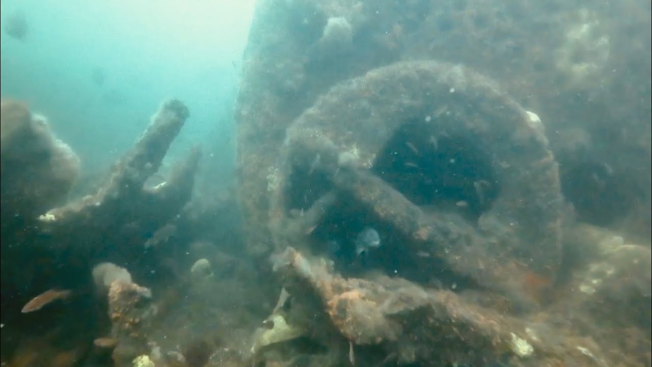 Tog’s day - YouTube