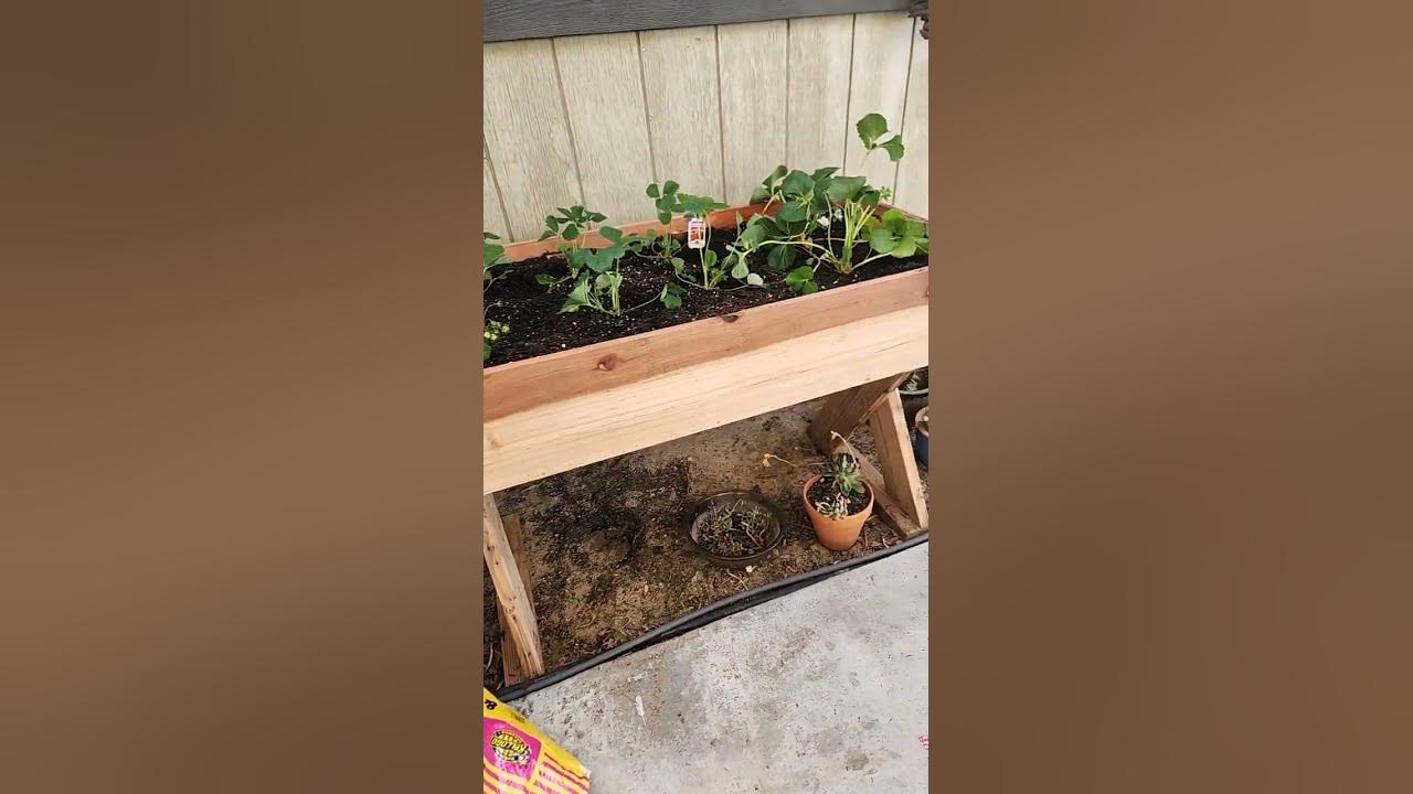 Easy To Build Raised Planter Box This Is A Prototype For More To Come Youtube