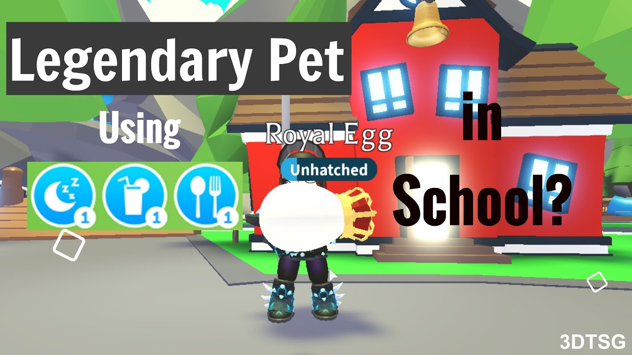 Higher chance to hatch legendary pet using blue tasks in SCHOOL in ...