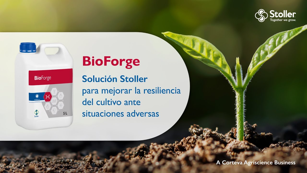 BioForge | Mejora la resiliencia del cultivo ante situaciones adversas ...