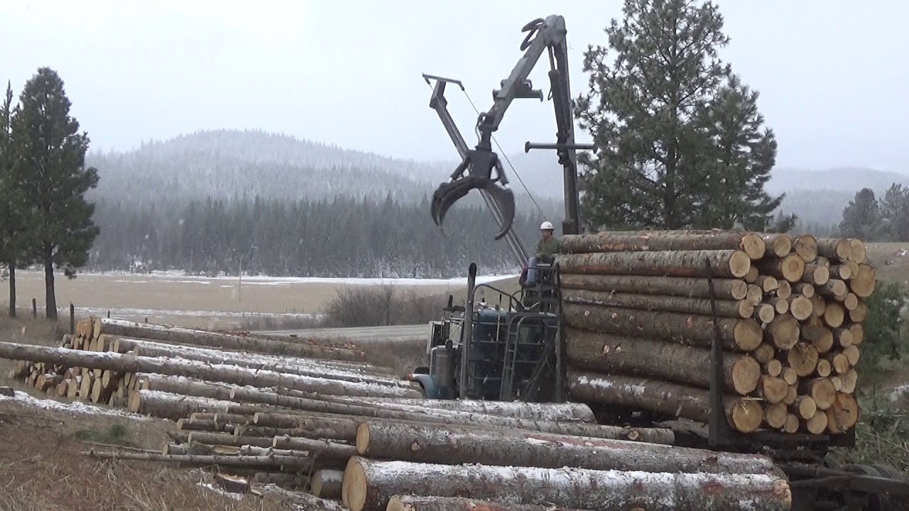 Loading shortlogs - YouTube