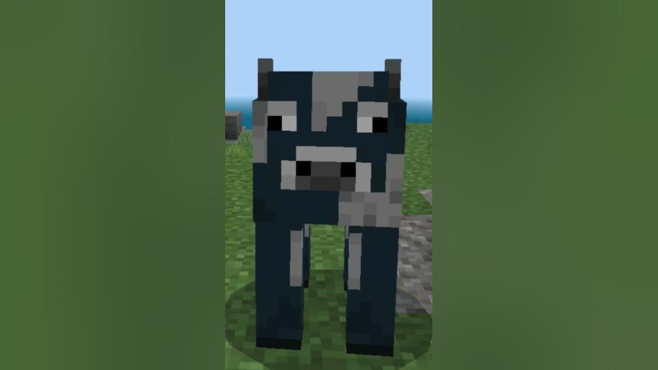 ЧТОООООО. СИНЯЯ КОРОВА В МАЙНКРАФТ. - YouTube