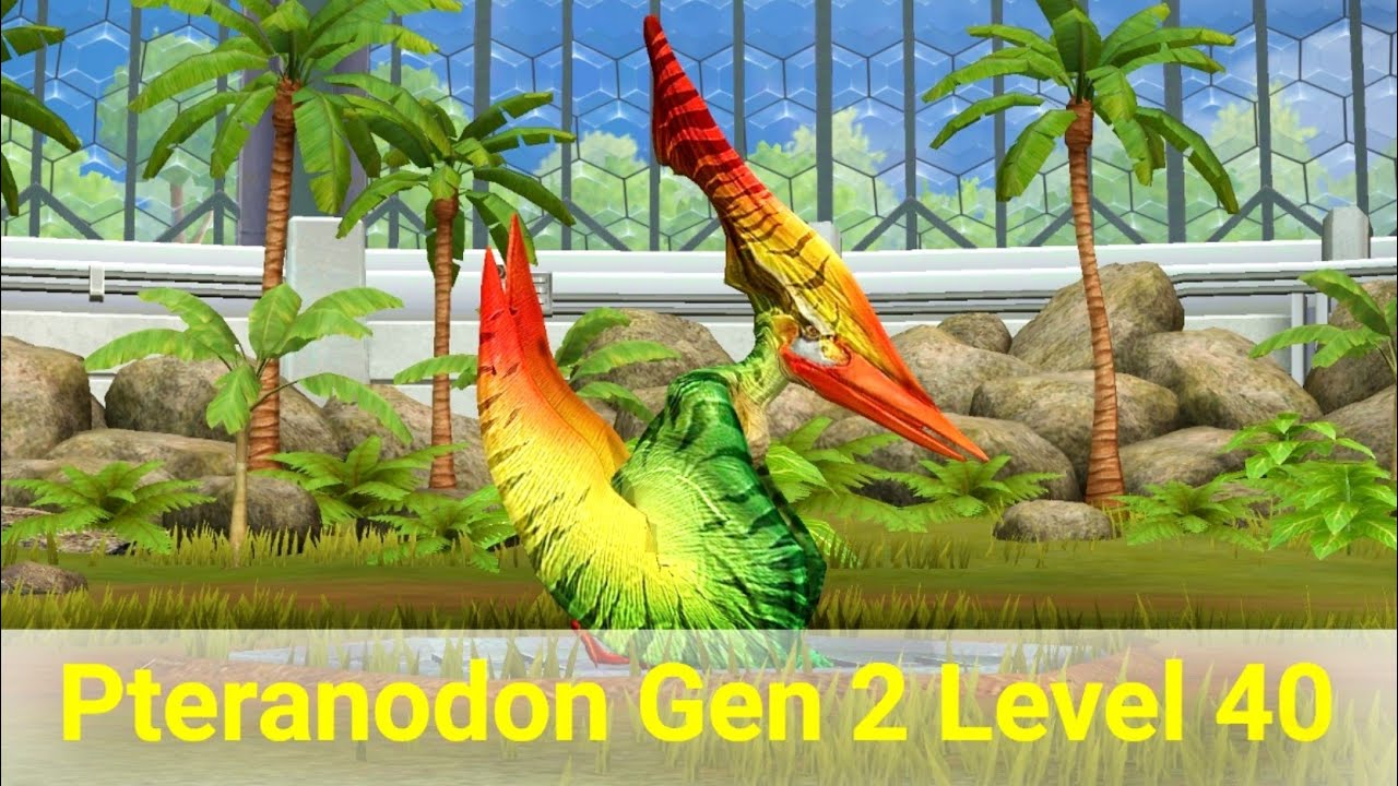 Pteranodon Gen 2 Level 40 | Jurassic World The Game - YouTube