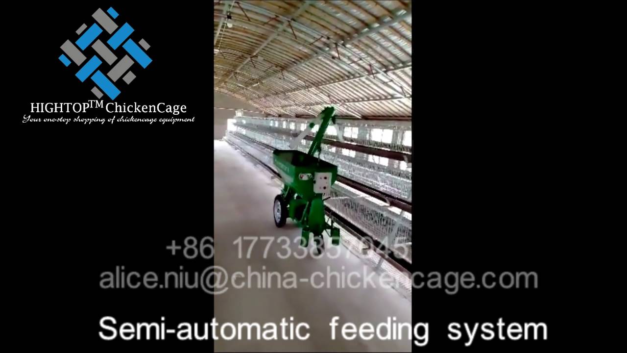 Semi-automatic feeding system (robotic chicken farm feeding, water ...