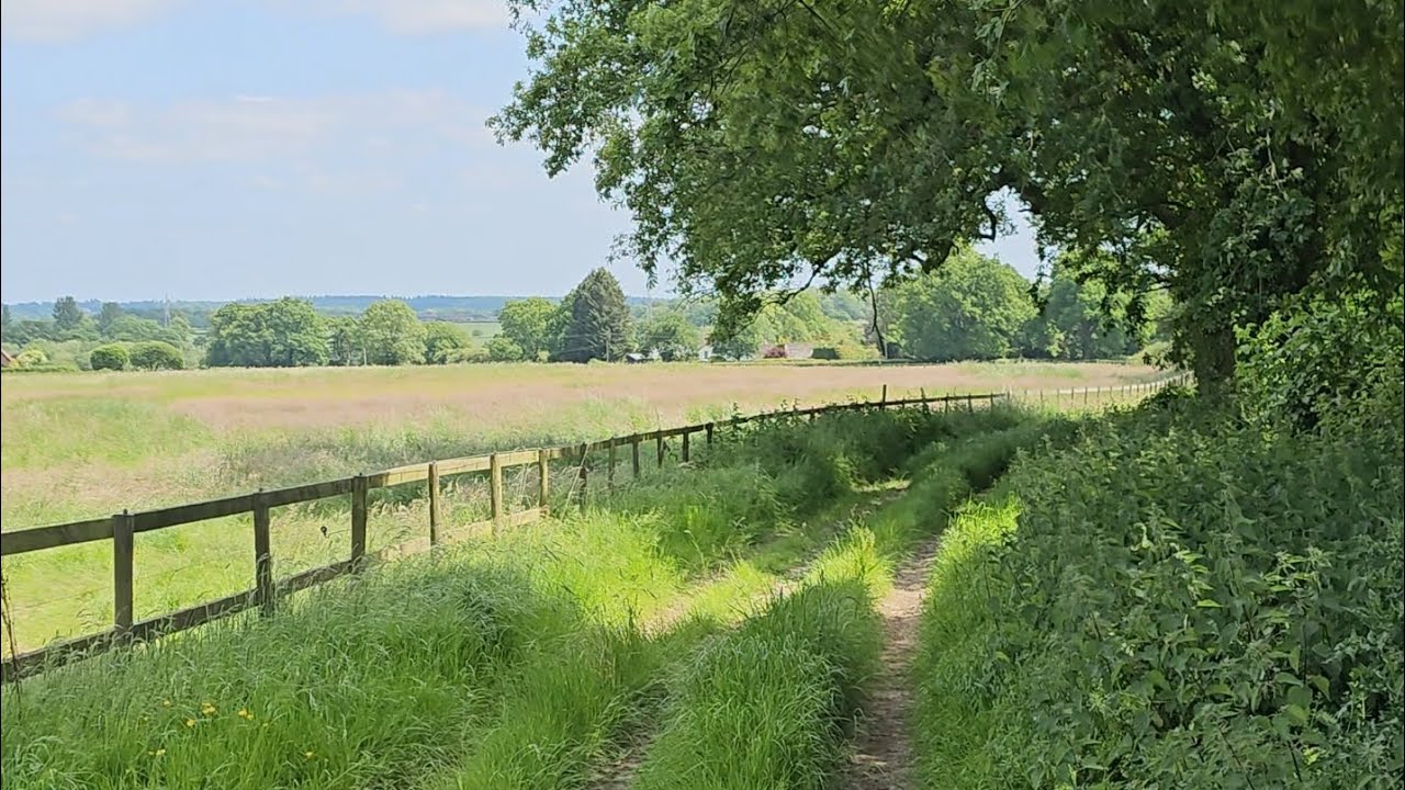 Mortimer Common (Day 3) - YouTube