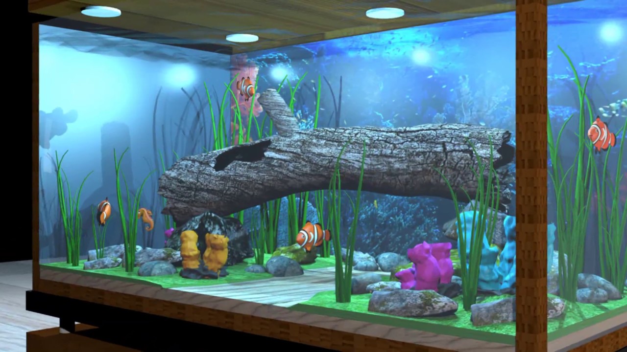 aquarium fish animation - YouTube