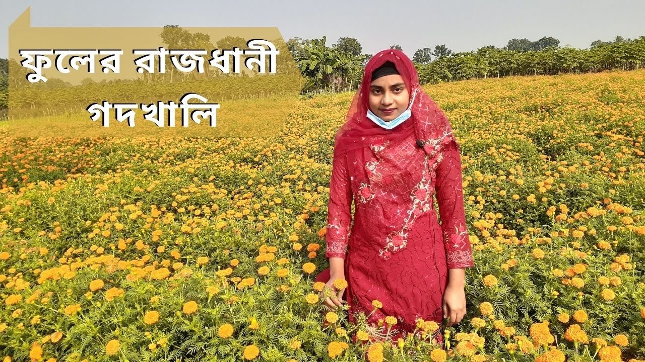 ফুলের রাজধানী গদখালি ভ্রমণ ২০২০ | The Largest Flowers Garden in ...