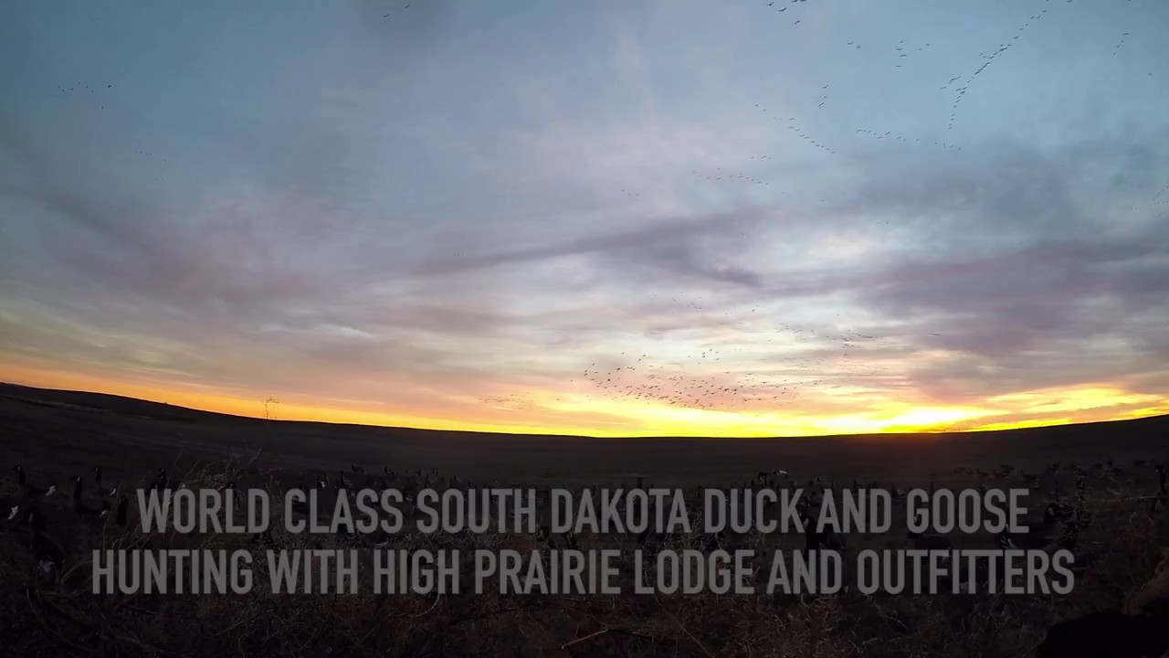 High Prairie Lodge and Outfitters SD Duck Hunt - YouTube