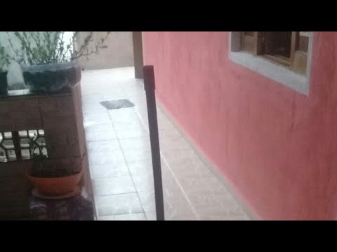 Rotina da manhã