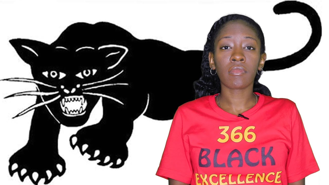 History of the Black Panther Party [Black History Feature] - YouTube