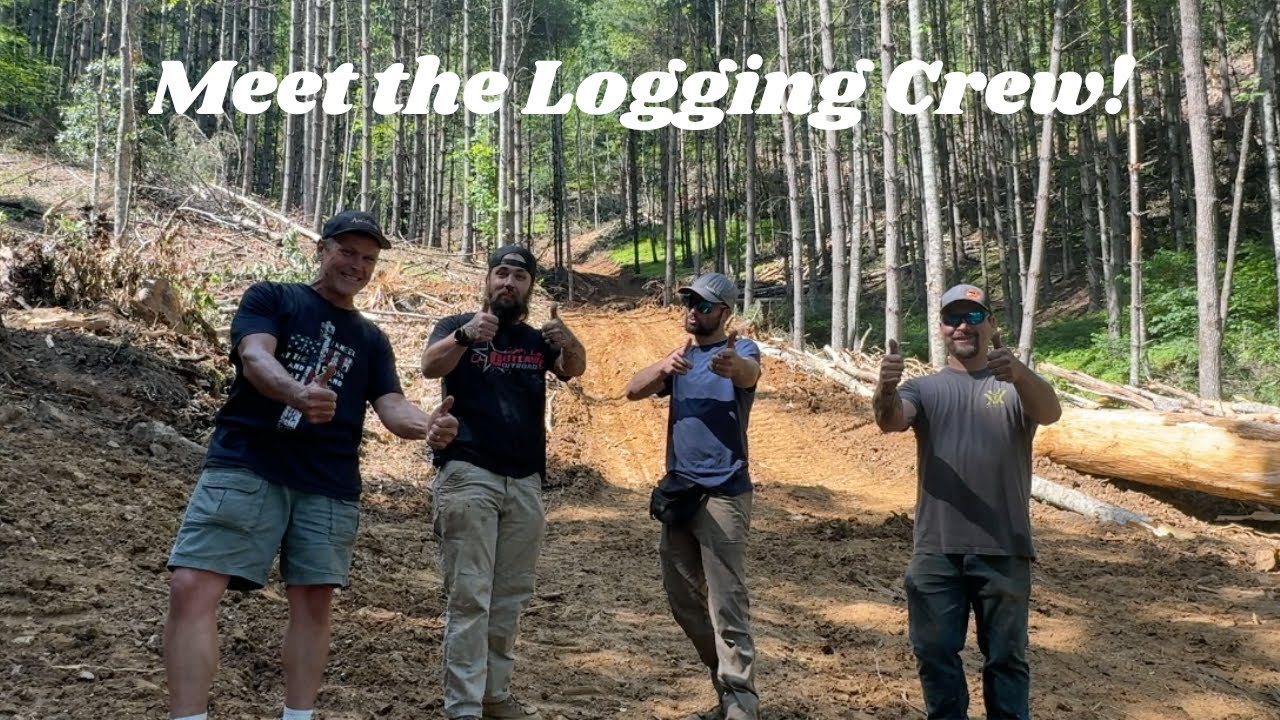 Logging Life - YouTube