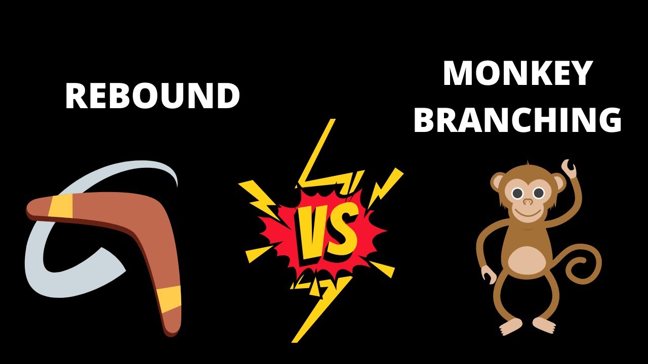 The Difference Between a Rebound Relationship and Monkey Branching ...