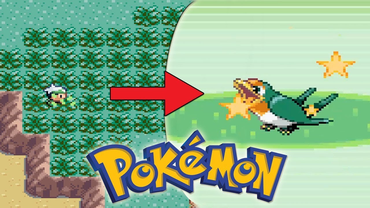 UN STREAMER NO CAPTURA A UN TAILLOW SHINY QUE APARECE 1 VEZ ENTRE 8000 ...