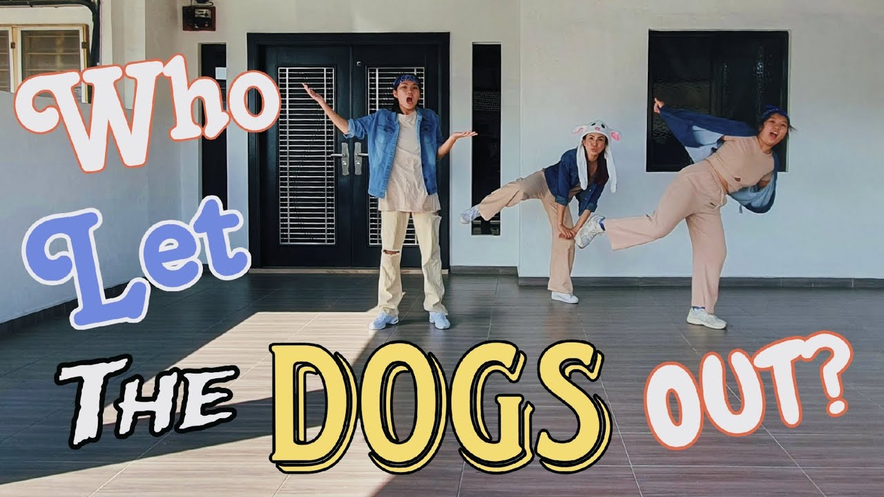 Who Let The Dogs Out? Line Dance Demo - YouTube