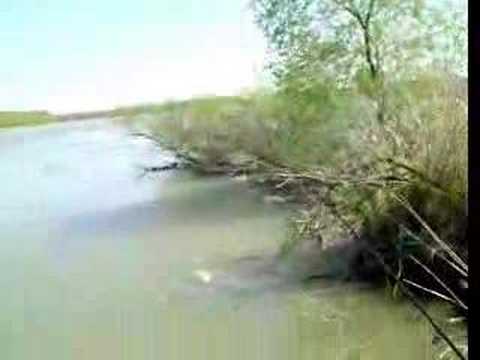 somn delta dunarii sf gheorghe - YouTube