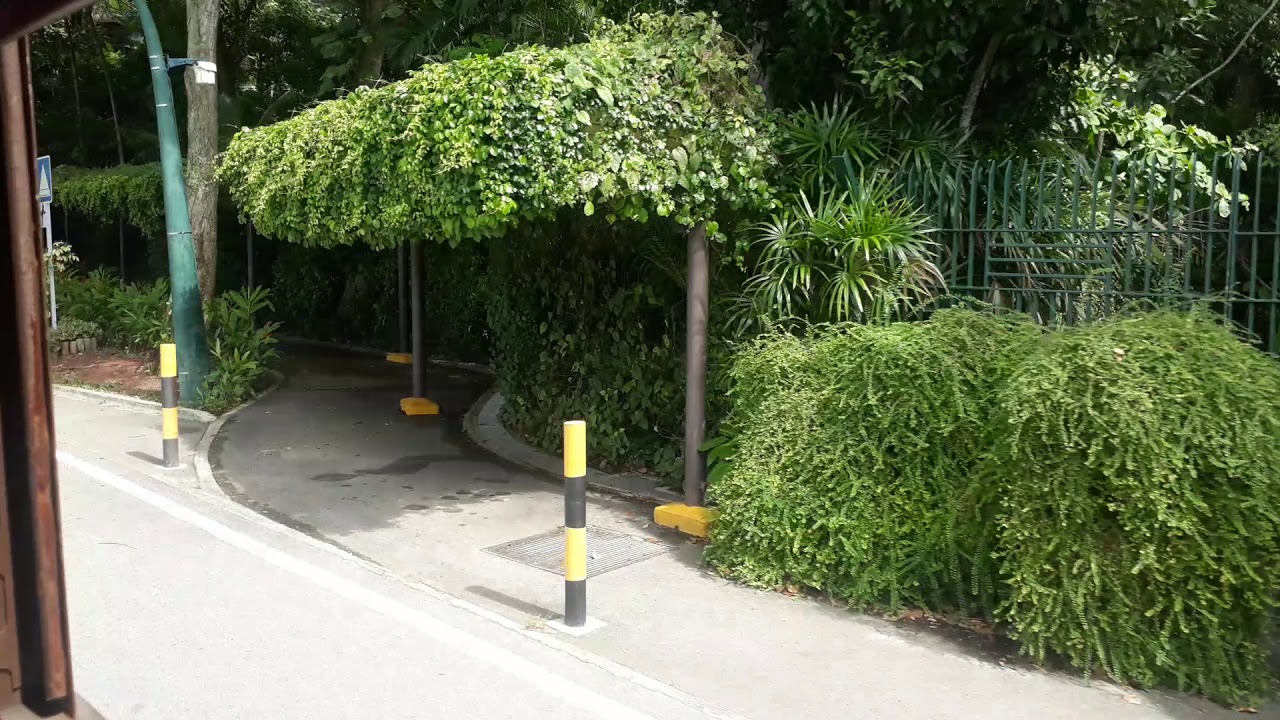 Sentosa Island Bus Tour - YouTube