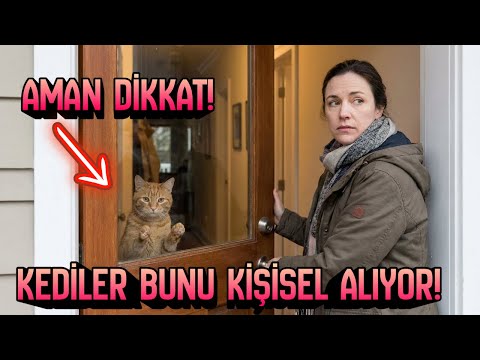 Kapıyı Kapattığında Kedinin Kalbi Kırılır mı? | Kediler Kapalı Kapıyı Neden Asla Unutmaz