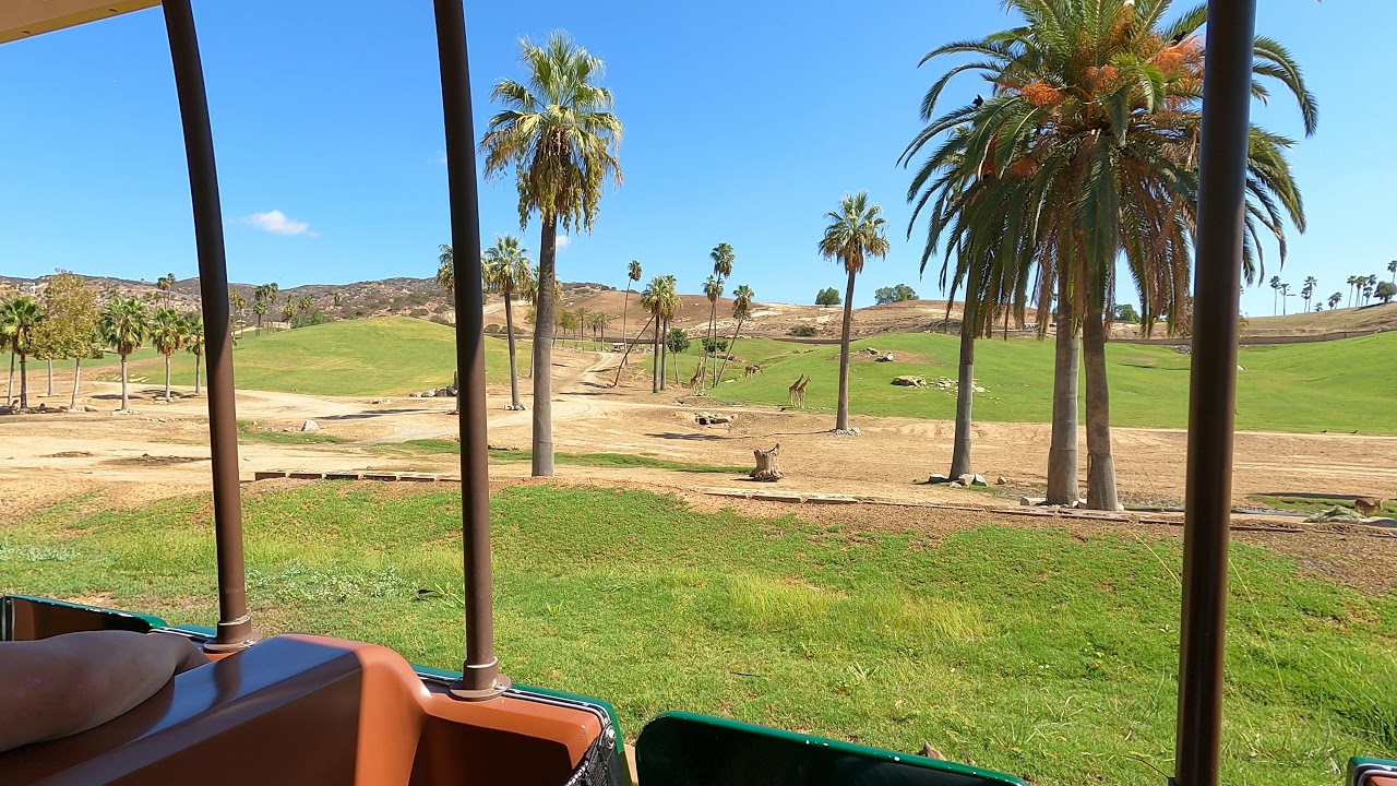 San Diego Zoo Safari Park Africa Tram Part 2 - YouTube