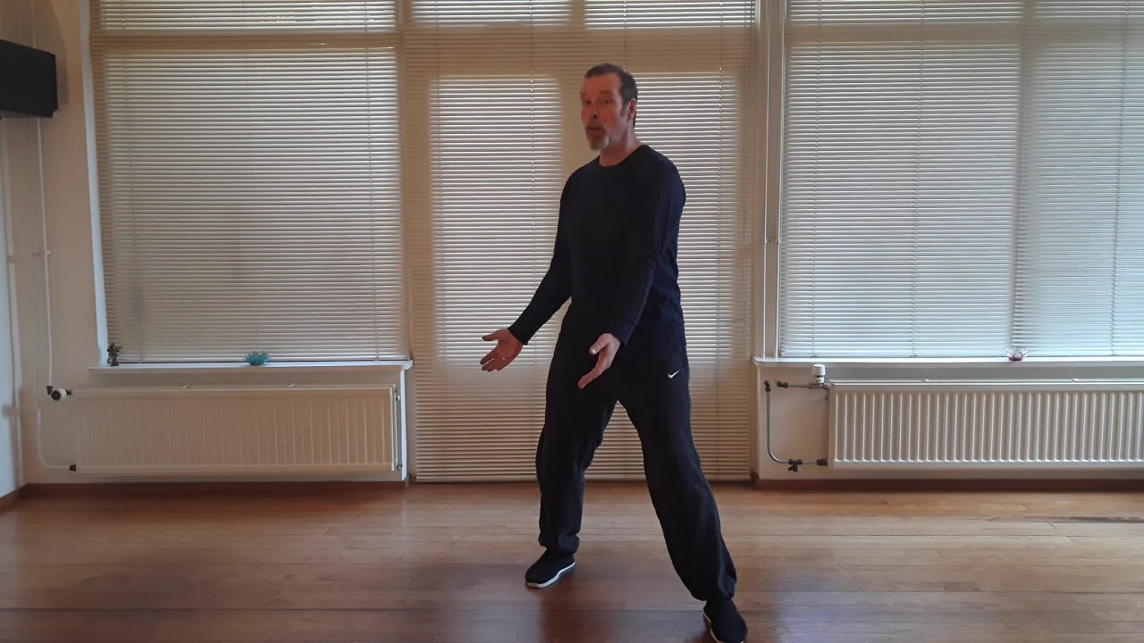 Cheng Hsin Tai Chi mini set - Move 3, 4 & 5: Roll Back, Press and Push ...