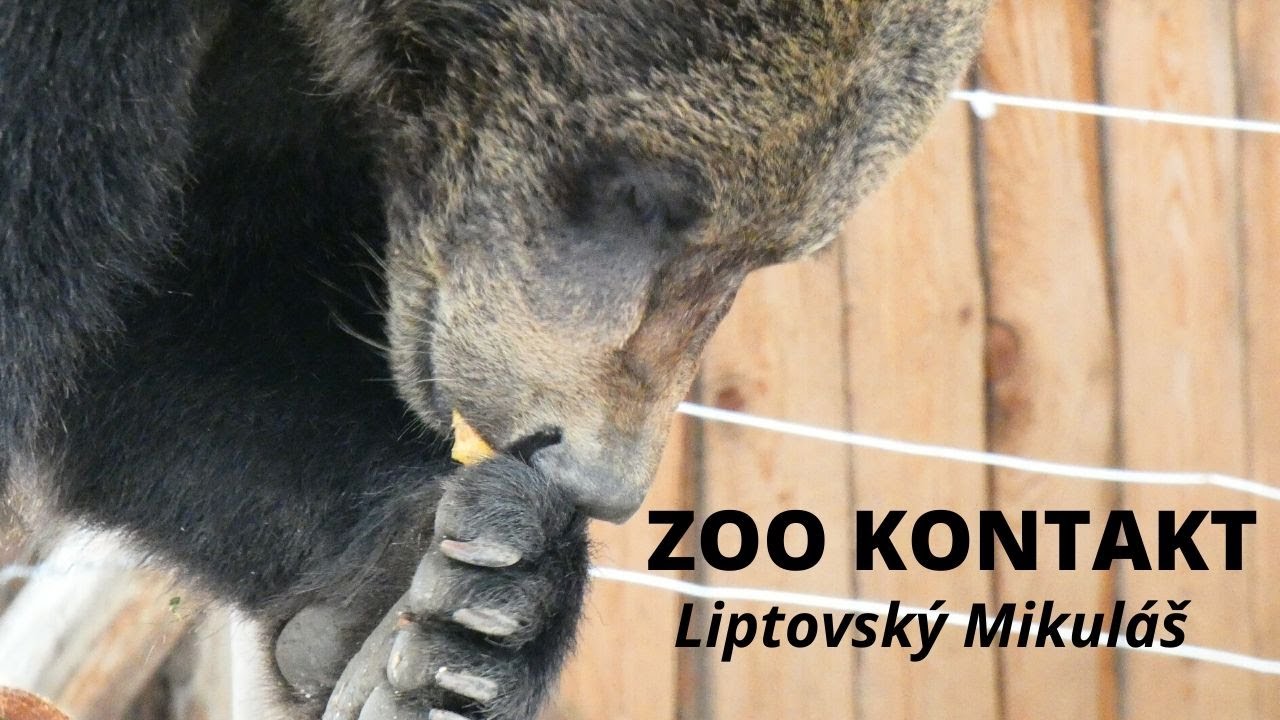 ZOO Kontakt Liptovský Mikuláš - zvieratá z blízka - pri aquaparku ...