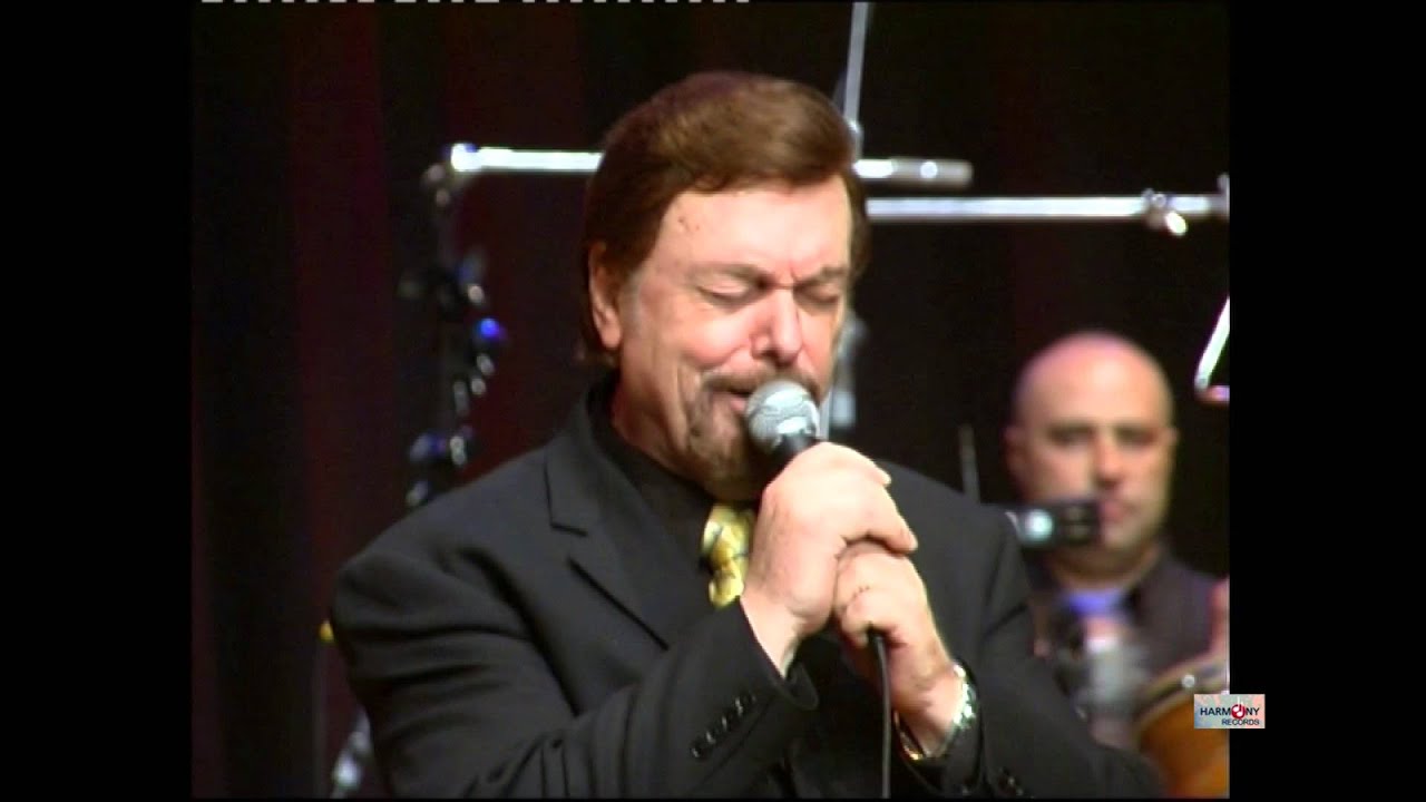Adiss Harmandian Live Concert in Beirut - YouTube