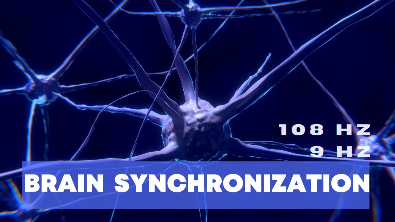 Brain Synchronization Frequencies | Activate the Entire Brain ...