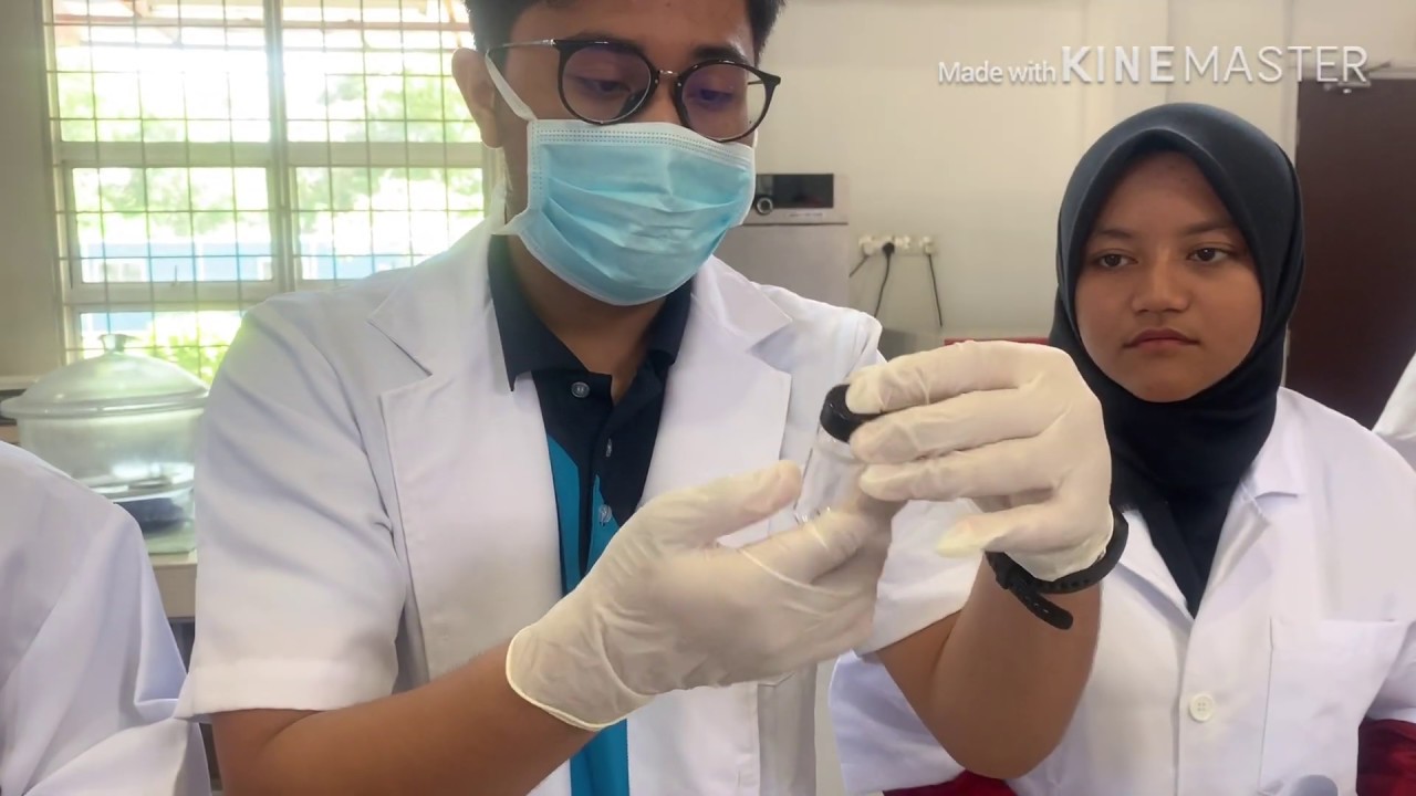 EAB3208 - LAB VIDEO 1 (Water Sampling Experiment - Leachate) - YouTube