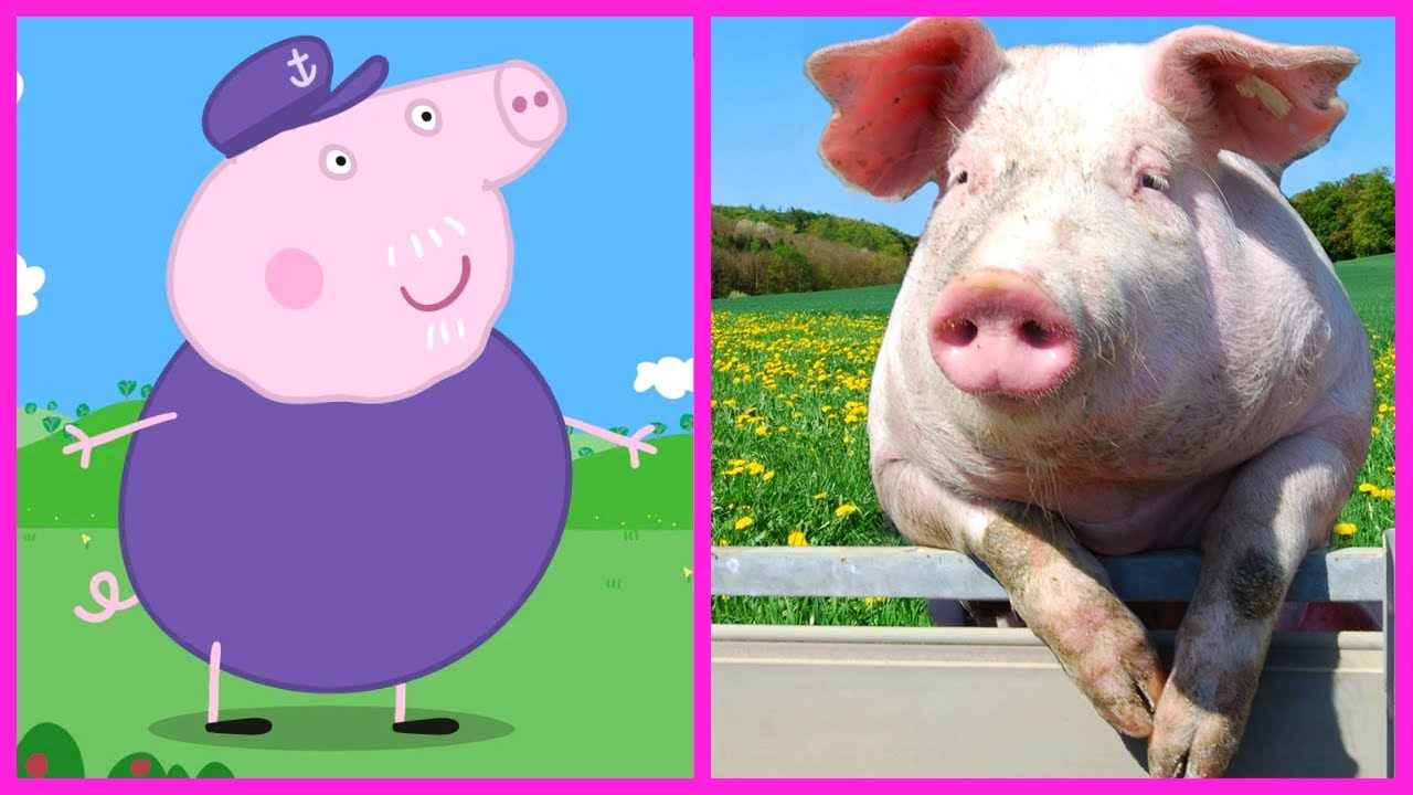 Funny Peppa Pig Characters in Real Life - YouTube