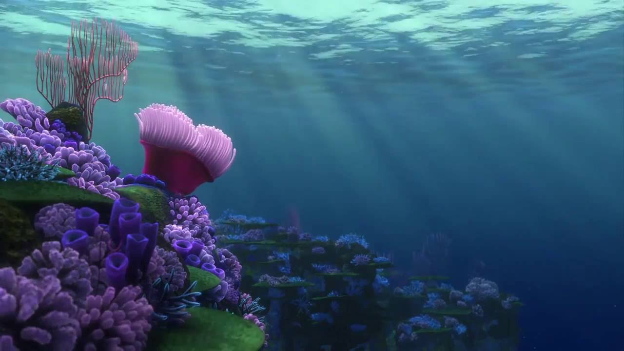 Nemo Egg - Finding Nemo Acapella Cover - YouTube