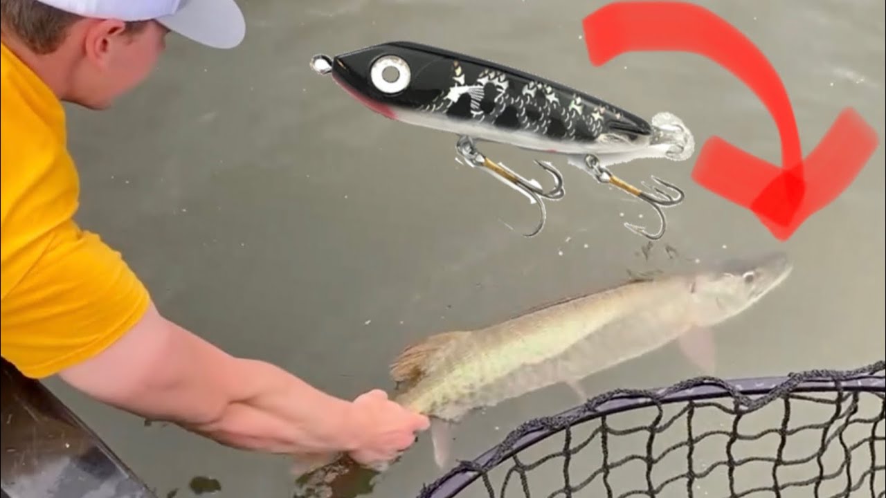 FALL FISHING FOR IOWA MUSKIES!!! Musky Crushes Glider! - YouTube
