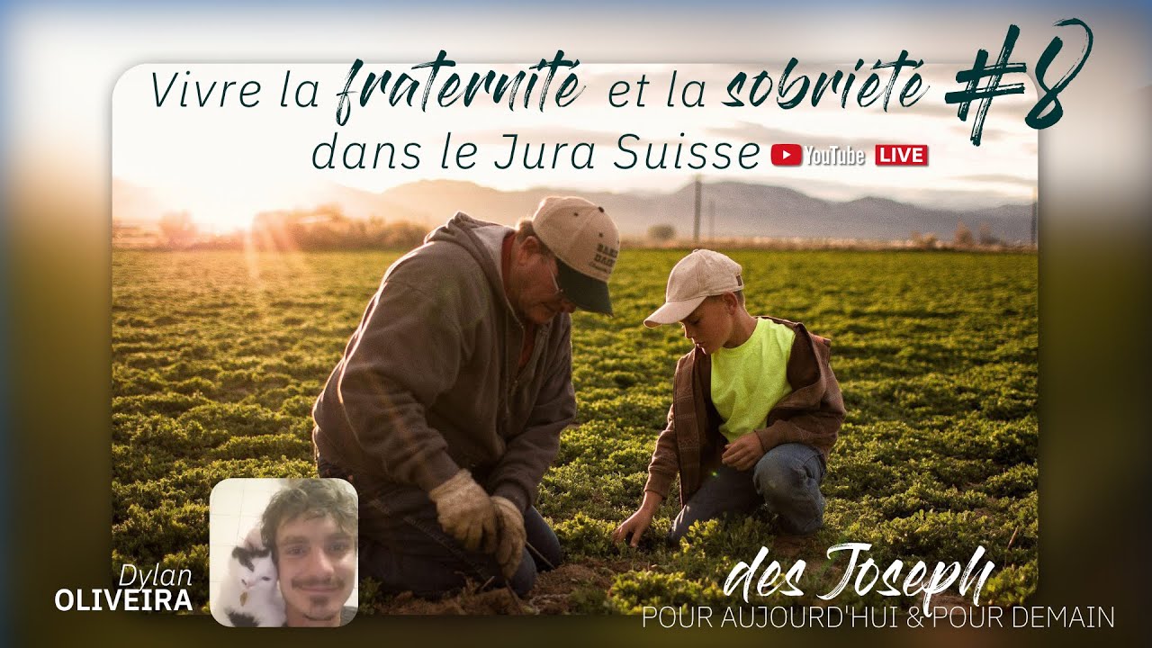 Webinaire #8 | Dylan OLIVEIRA - Vivre la fraternité et la sobriété dans ...