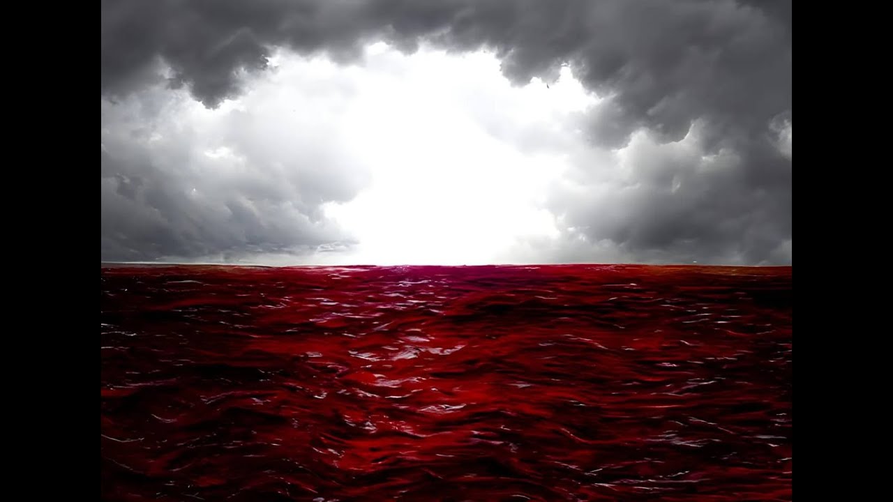 BASED SCHIZO MEMES (ELITE EDITION) - YouTube