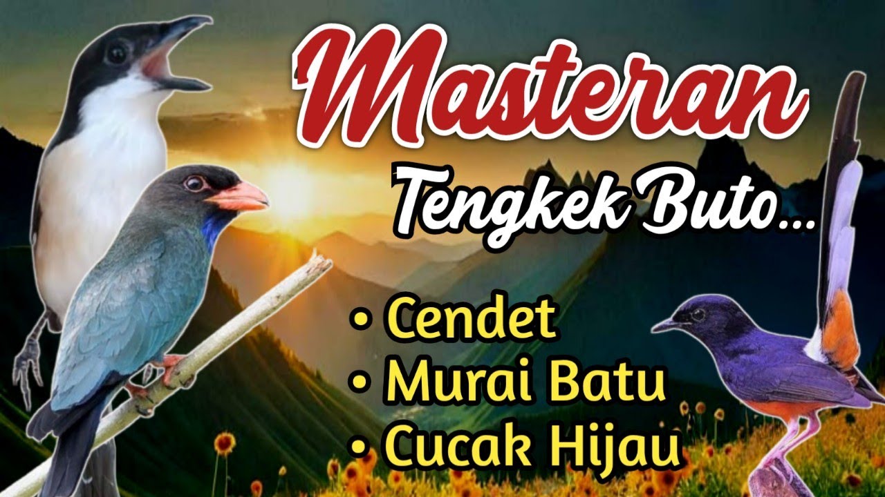 MASTERAN VIRAL 2025 ~ Masteran Tengkek Untuk Cucak Hijau, Cendet, Murai ...