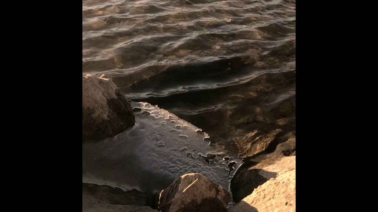 Out for a river edge walk... - YouTube