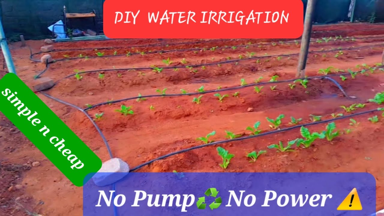 How to install water irrigation No Electricity needed#diy #farming ...