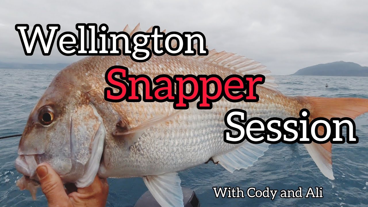 Wellington Snapper Session with Cody and Ali - YouTube