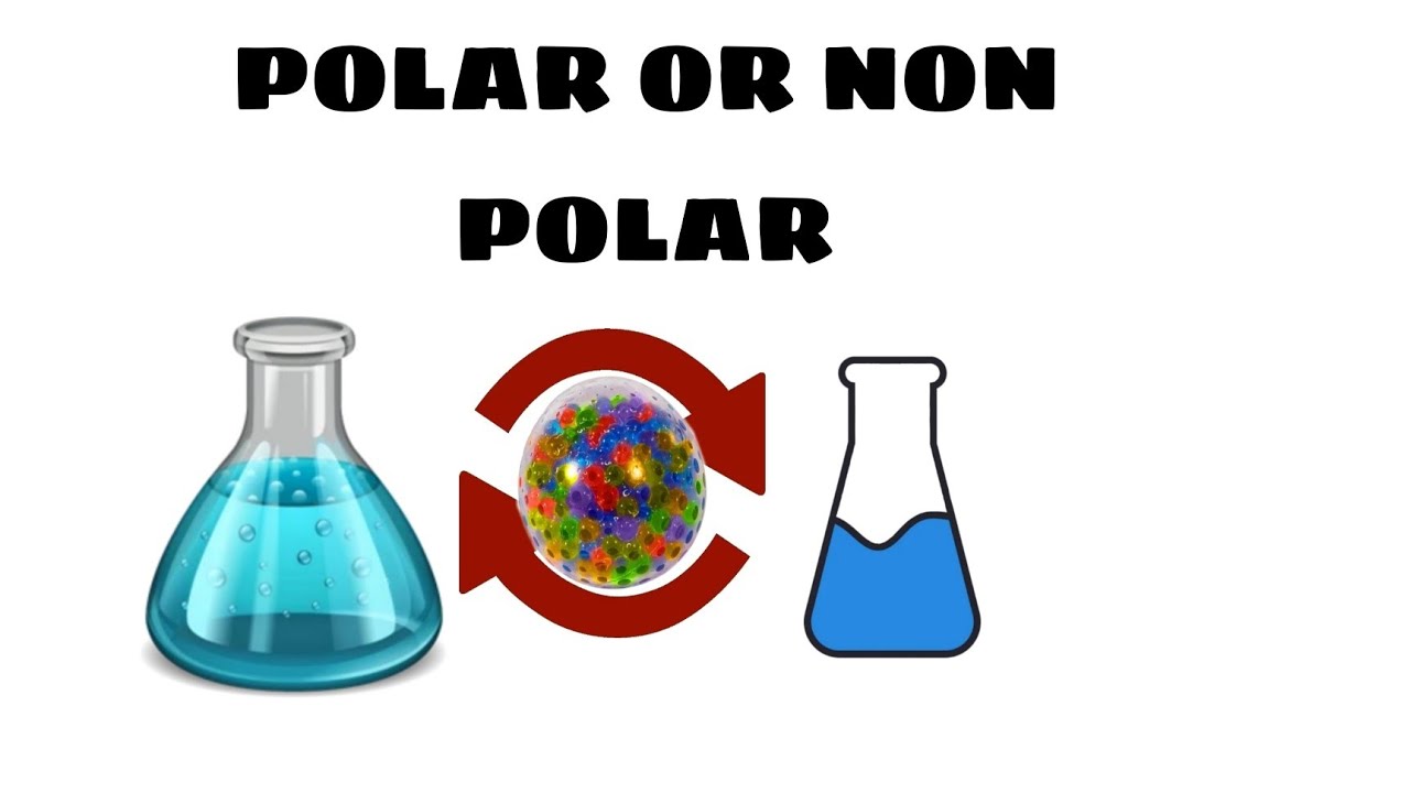 POLAR AND NON POLAR SOLVENTS 🧐 - YouTube