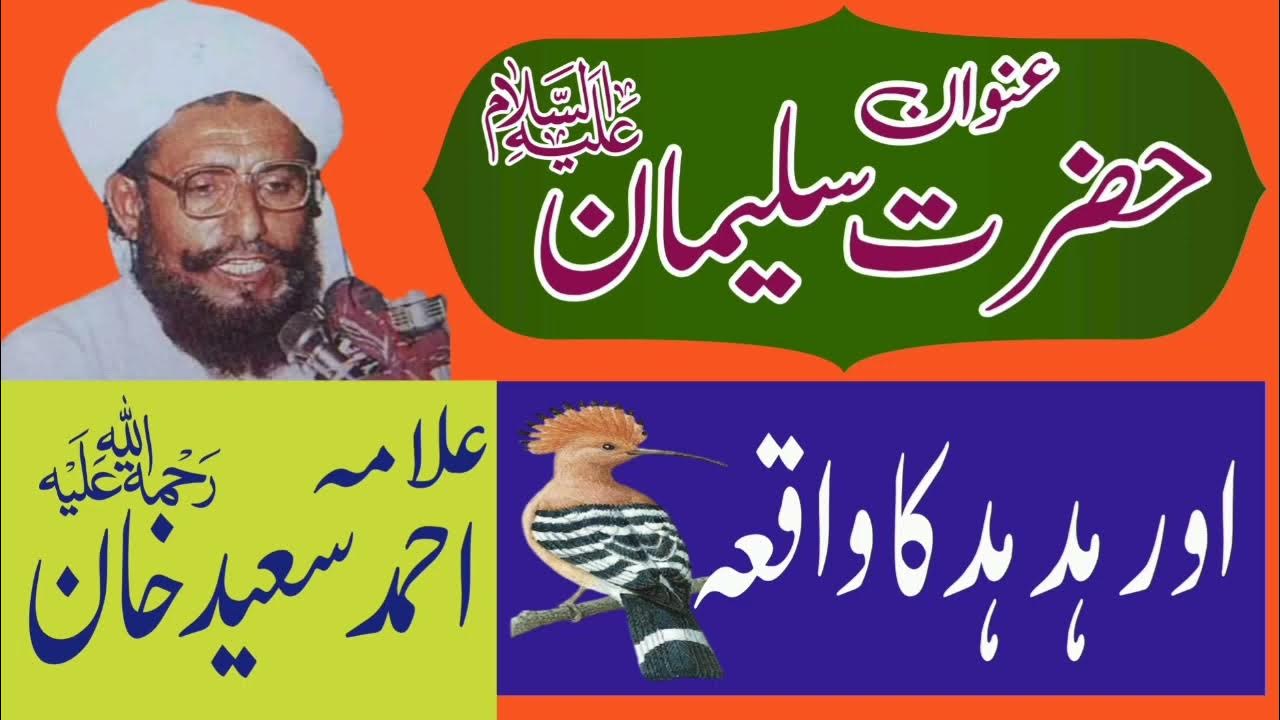 Hazrat Suleman A.S Aur Hud Hud Ka Waqia | Allama Ahmad Saeed Khan Multani | Minhas TV - YouTube