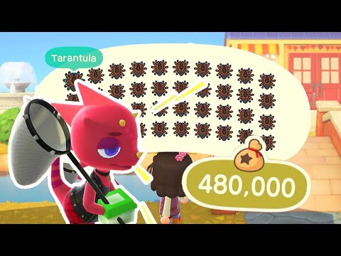 Tarantula szn baby! 🕷️ (no commentary gameplay) 🌸 ACNH Daily #70 - YouTube