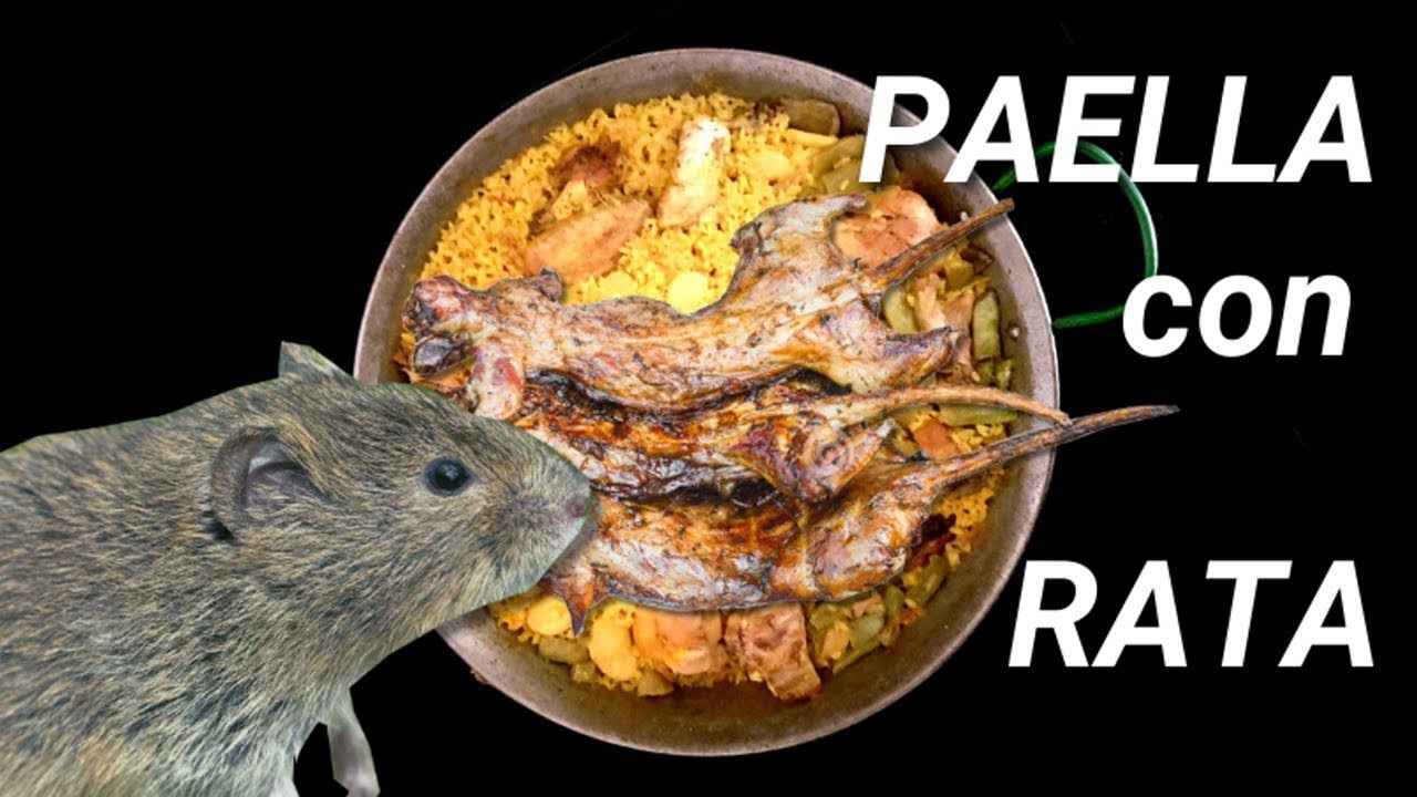 Paella con rata Ratas ¿Ratas en la paella Averigua toda la verdad aquí ...