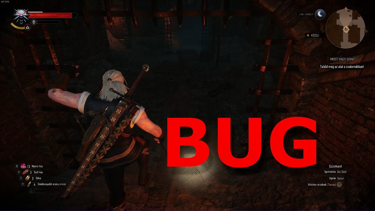 The Witcher 3 BUG - YouTube