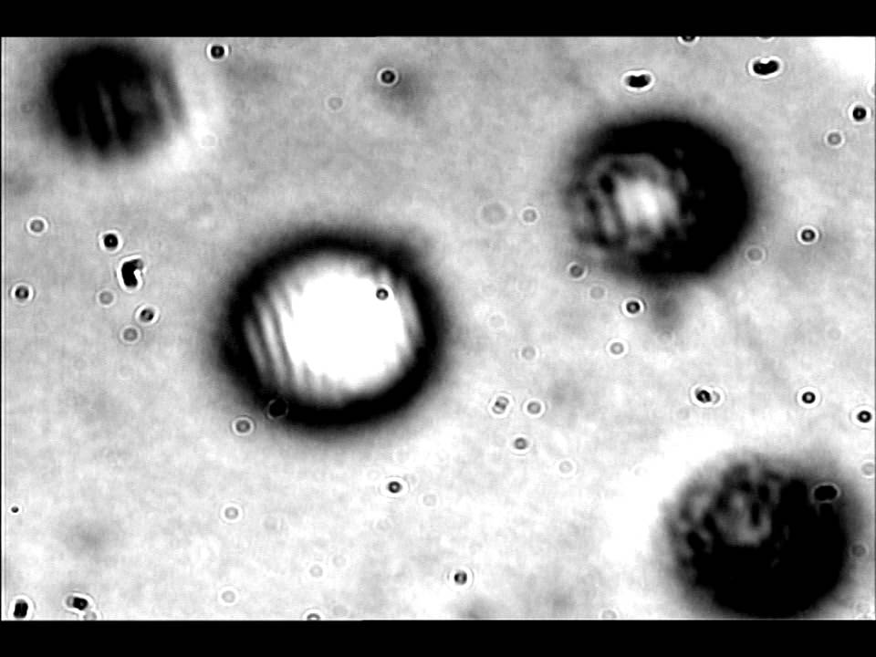 Nanoscope: white light microsphere nanoscope - YouTube