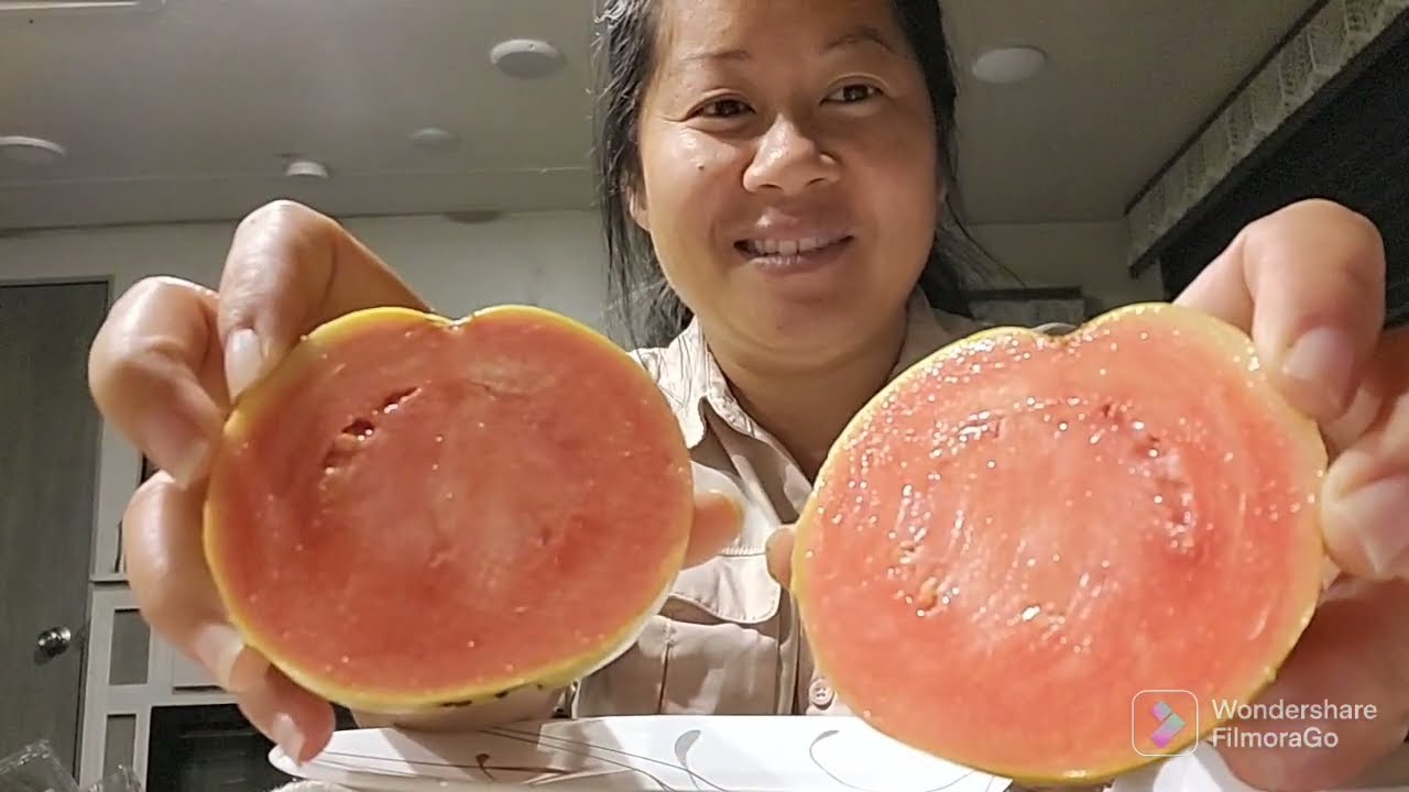What Does A Guava Taste Like and A Peek At A Few Of My Tropical Fruit What Does A Guava Taste Like and A Peek At A Few Of My Tropical Fruit