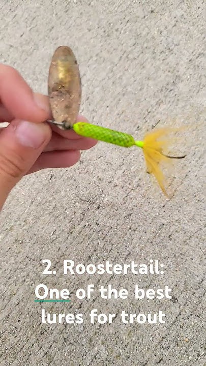 Top 5 best lures for trout #fishing #spinner #trout - YouTube